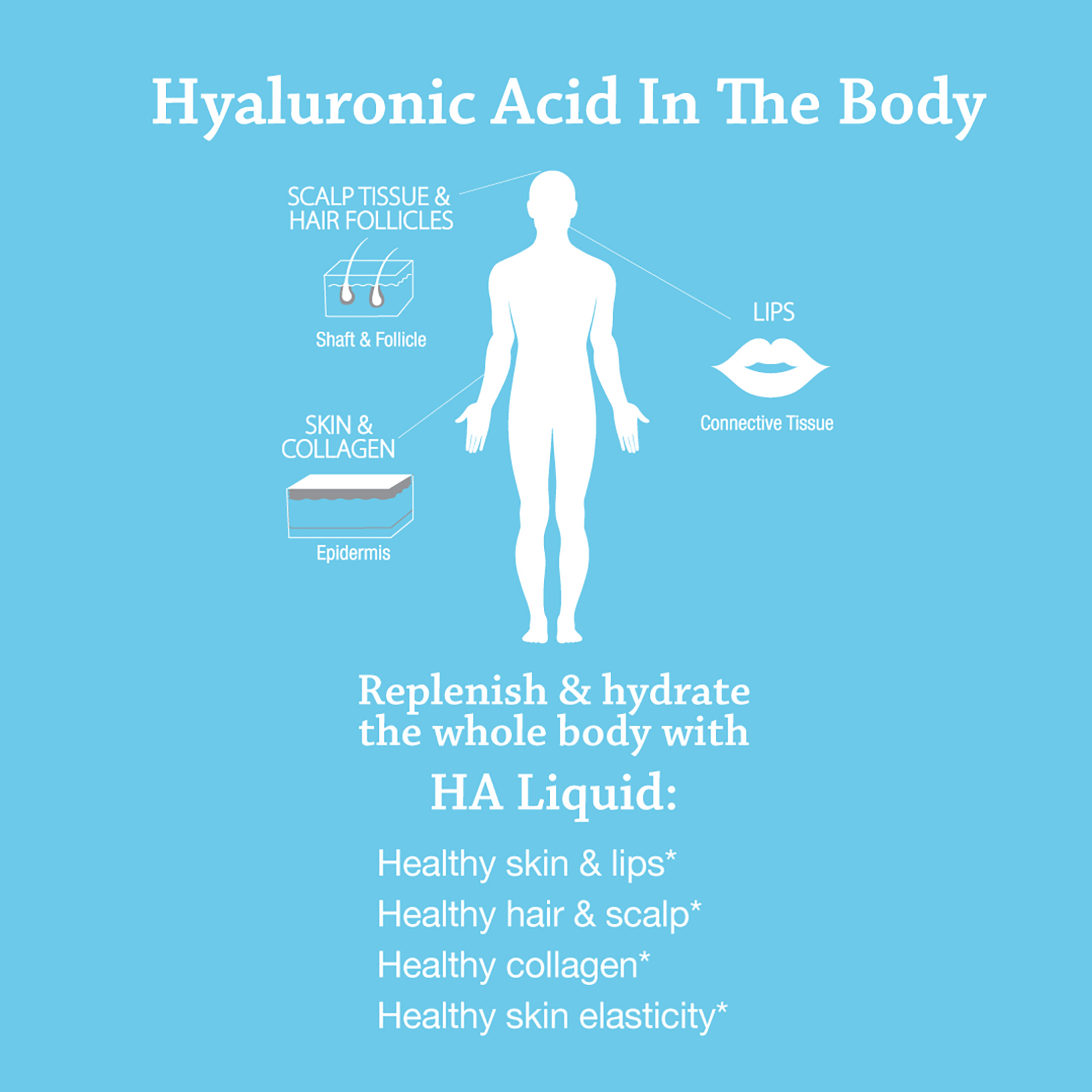 Beauty From Within HA Liquid - Hyalogic®